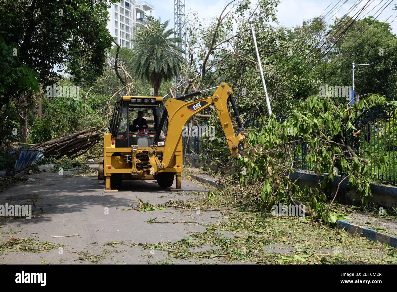 Bulldozer clearing trees hi-res stock photography and images - Alamy