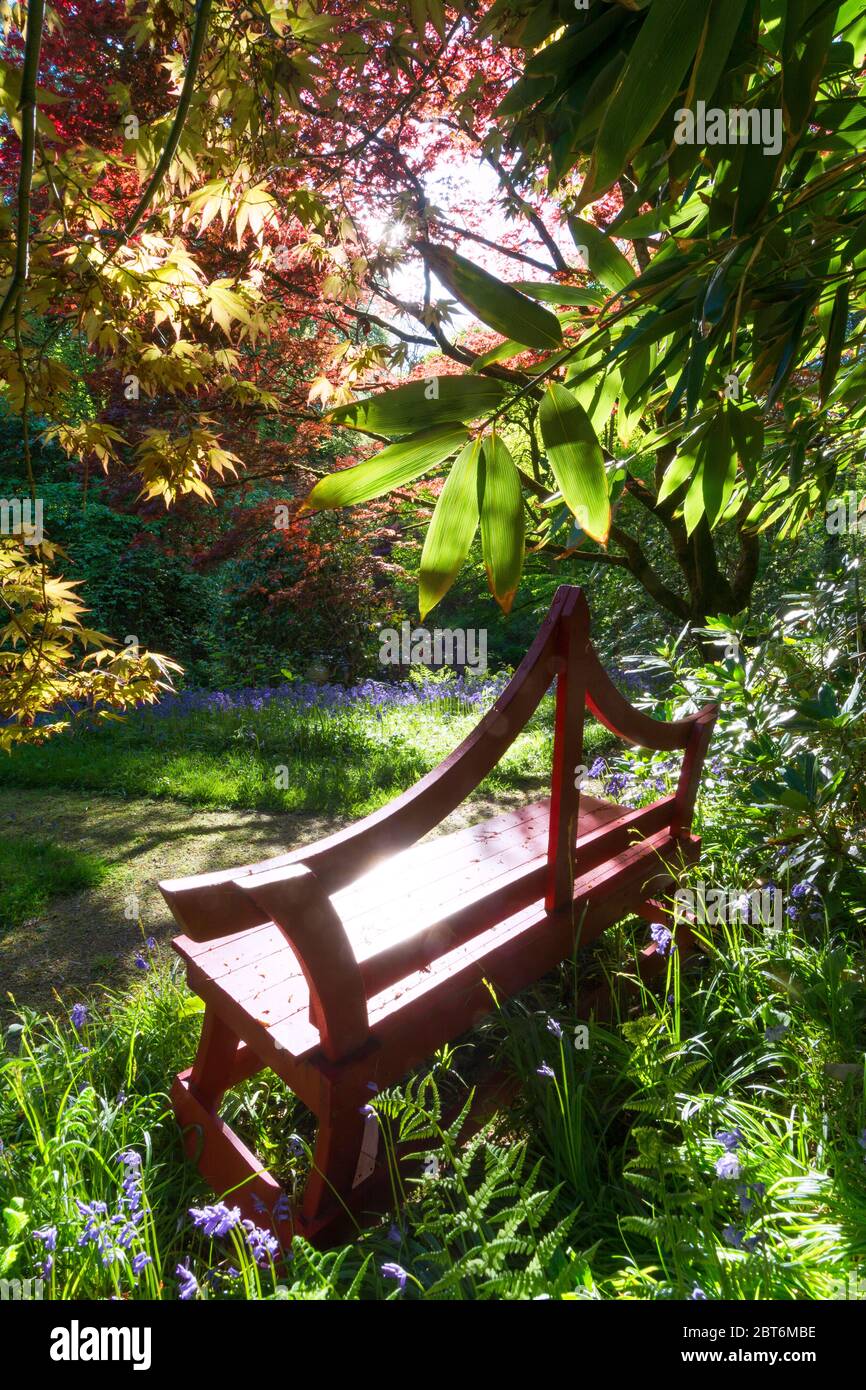 Secret garden bench hi-res stock photography and images - Alamy
