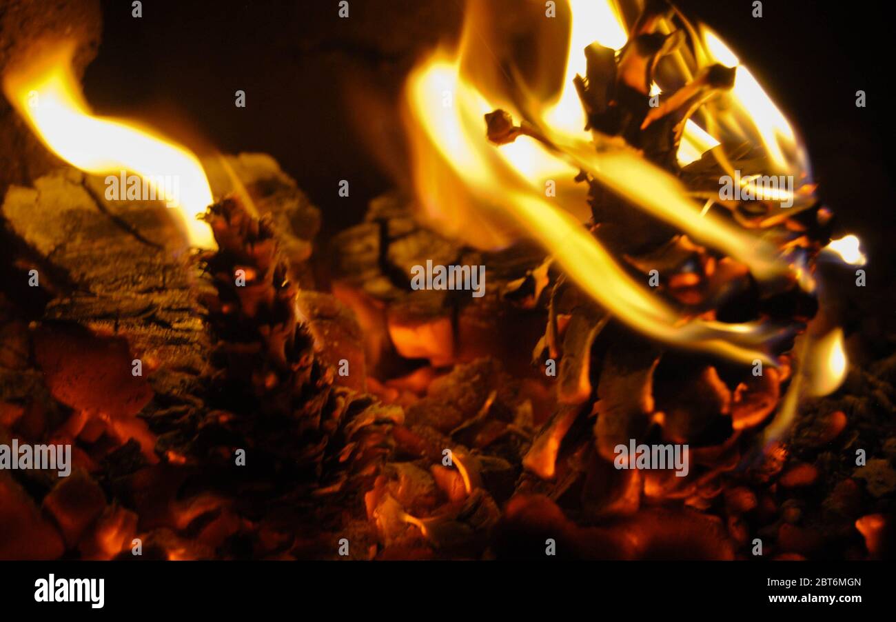 Burning Pine Cone Fire Stock Photo - Alamy