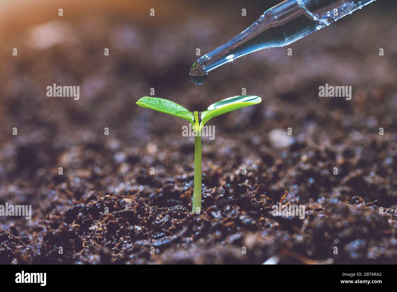 scientific irrigation method and agriculture concept Stock Photo - Alamy