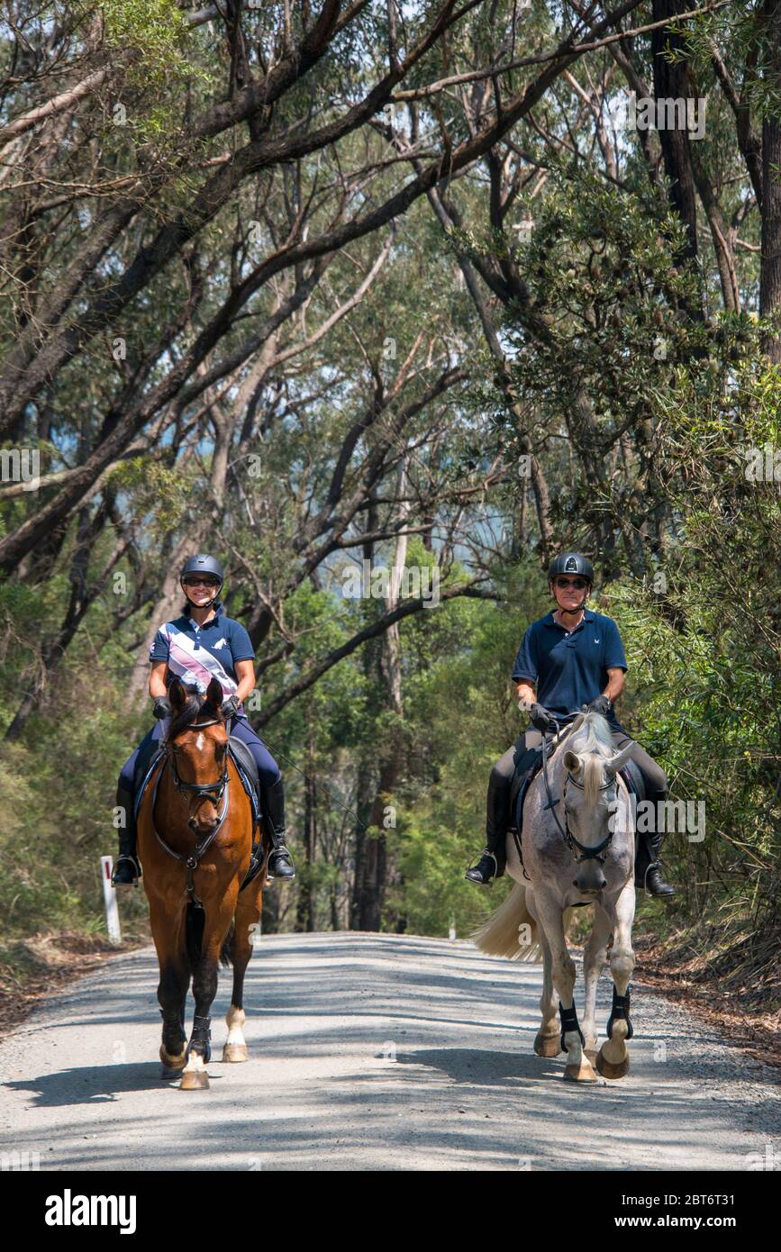 Two equestrians horse riding Yarrawa Kangaroo Valley NSW Australia ...