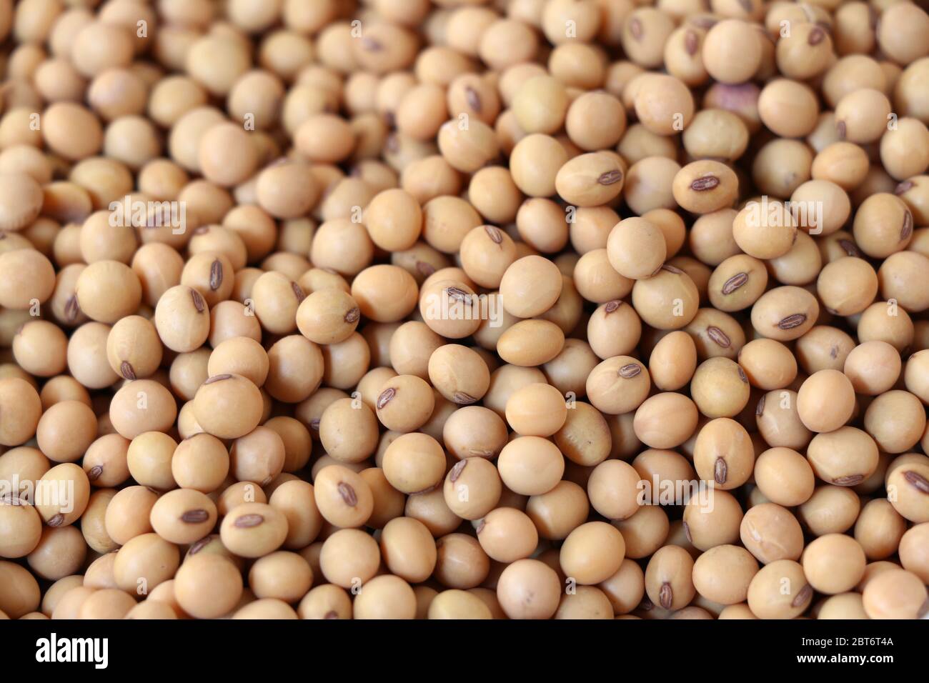 Soybean background. Soybean organic background Stock Photo - Alamy