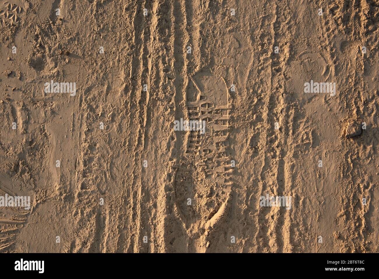 male footprint in the sand, footprint, many different footprints in the ...