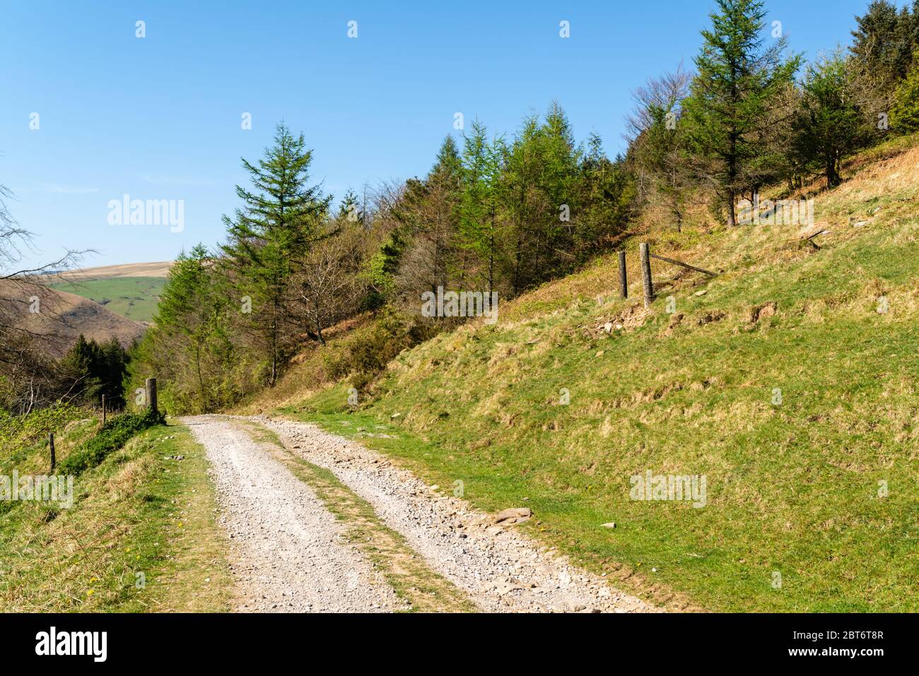 Stone path leading downhill with old fence posts and fir trees Stock ...