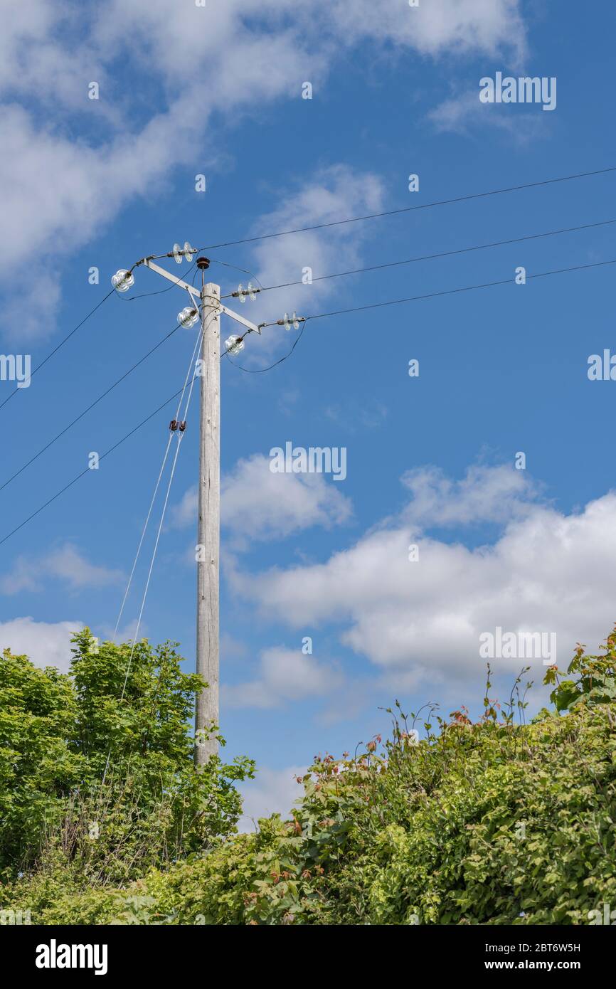 Domestic electricity distribution utility pole in rural Cornwall, with ...