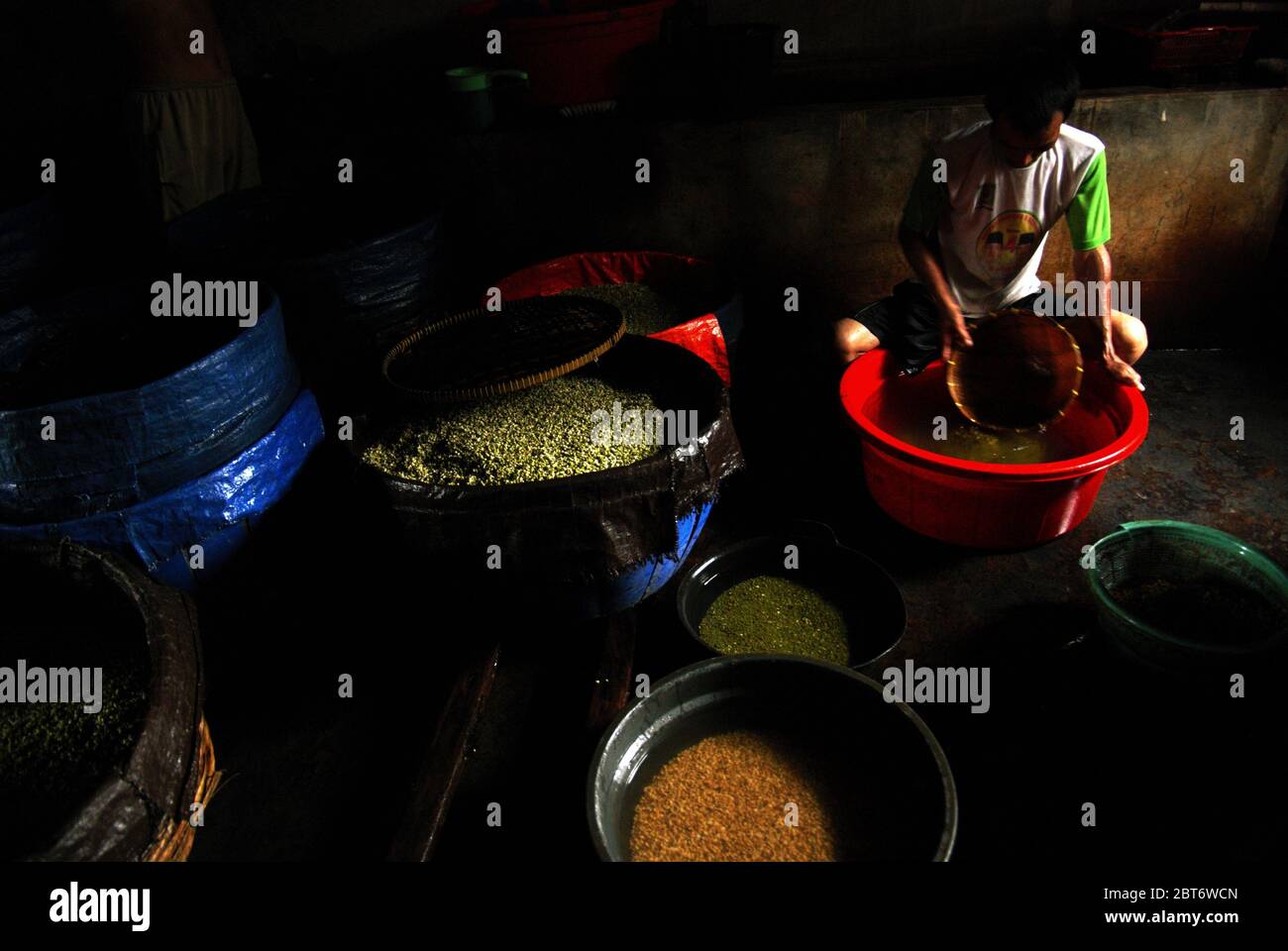 Bean sprouts grower hi-res stock photography and images - Alamy