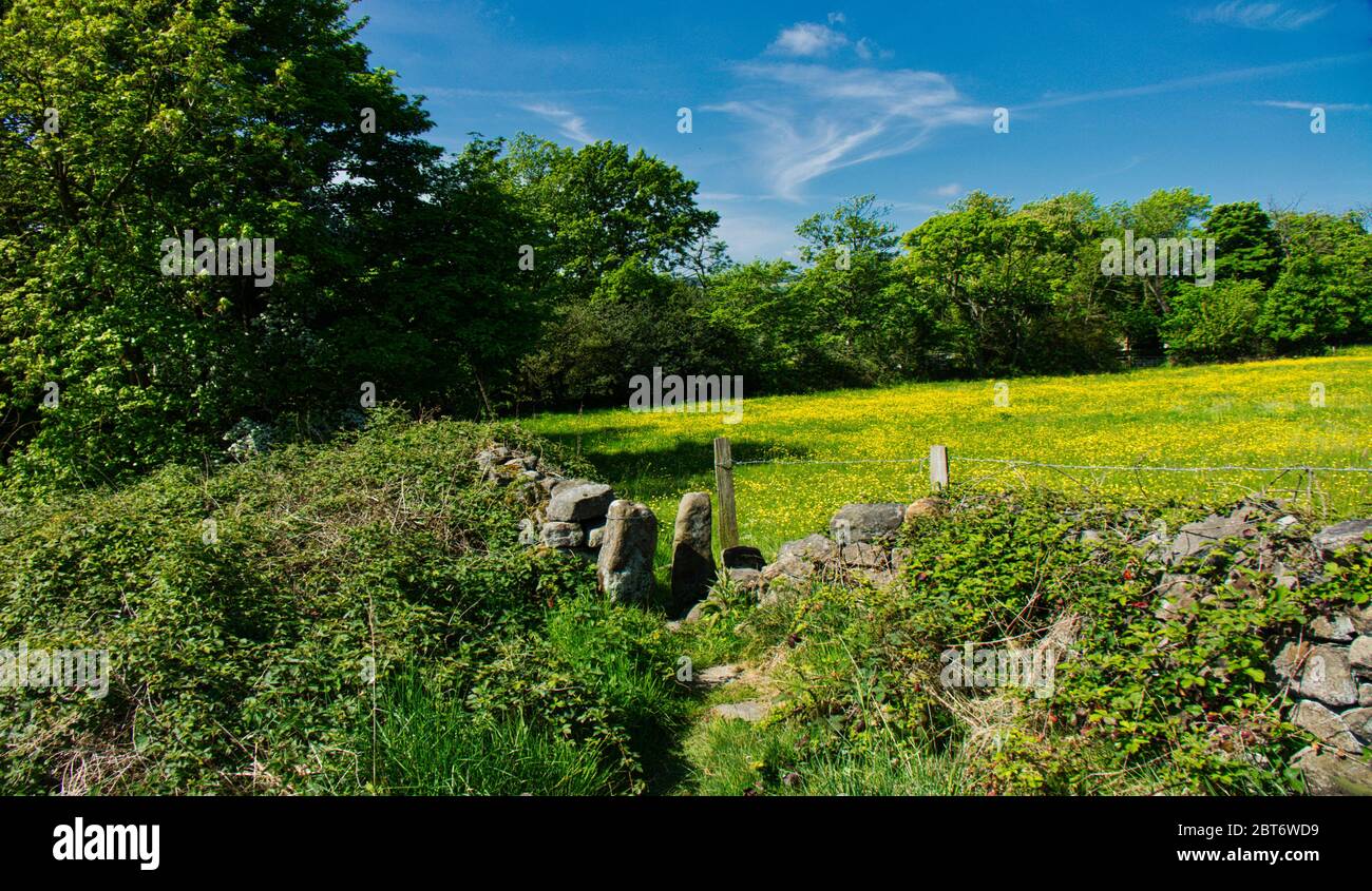 The Village of Ashover and The Gregory Mine Stock Photo - Alamy