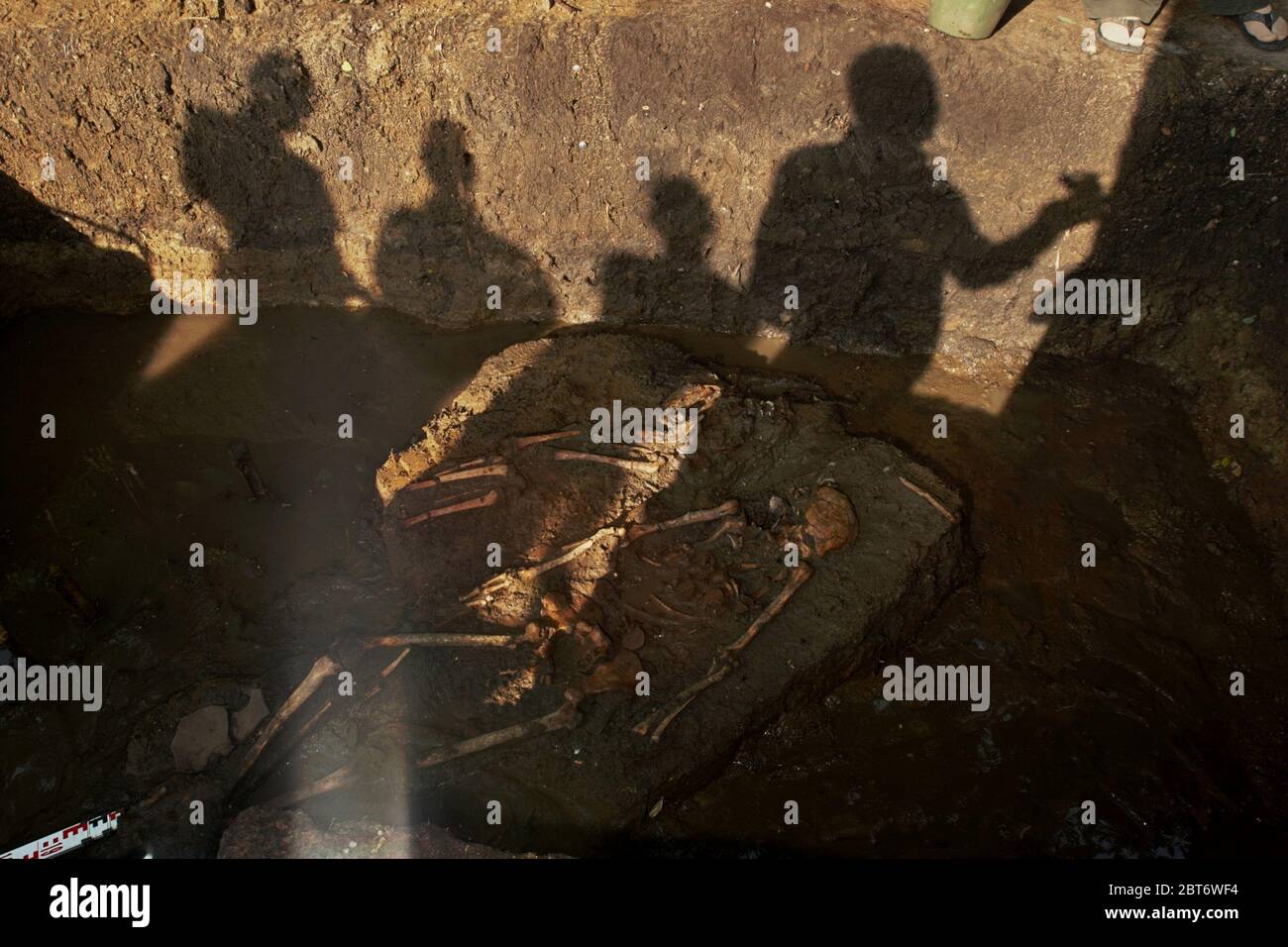 Protohistoric skeletons hi-res stock photography and images - Alamy