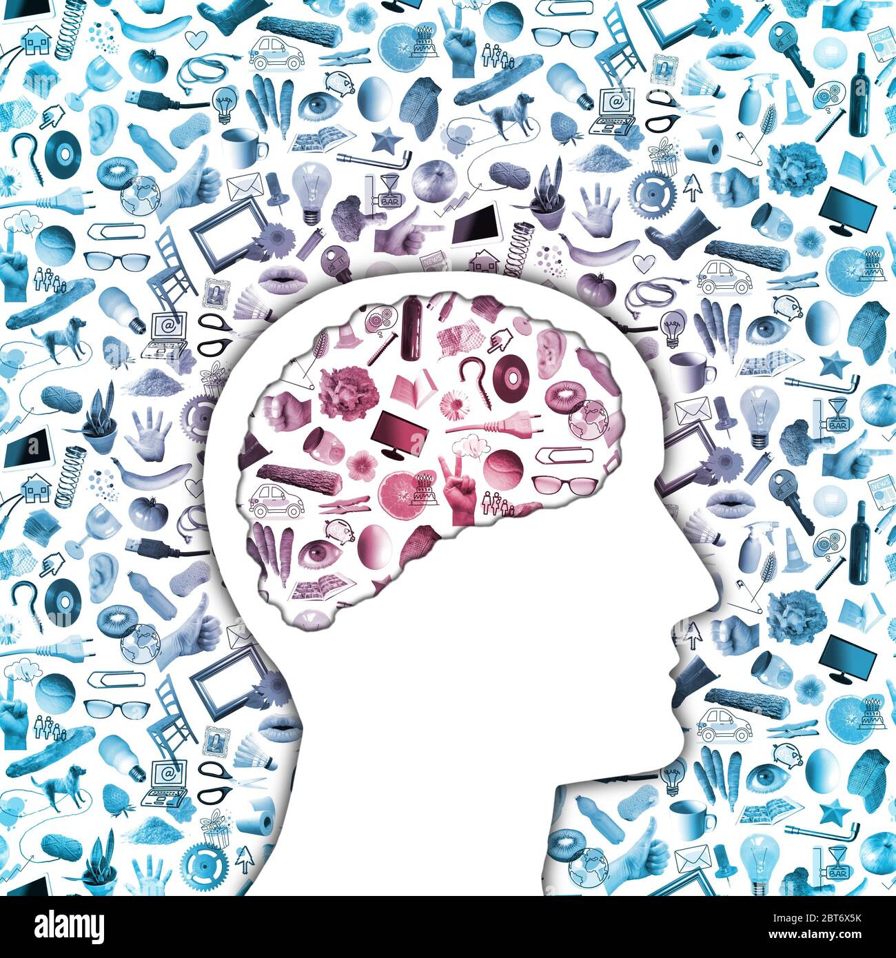 human profile with brain and collage of plenty daily objects, photos ...