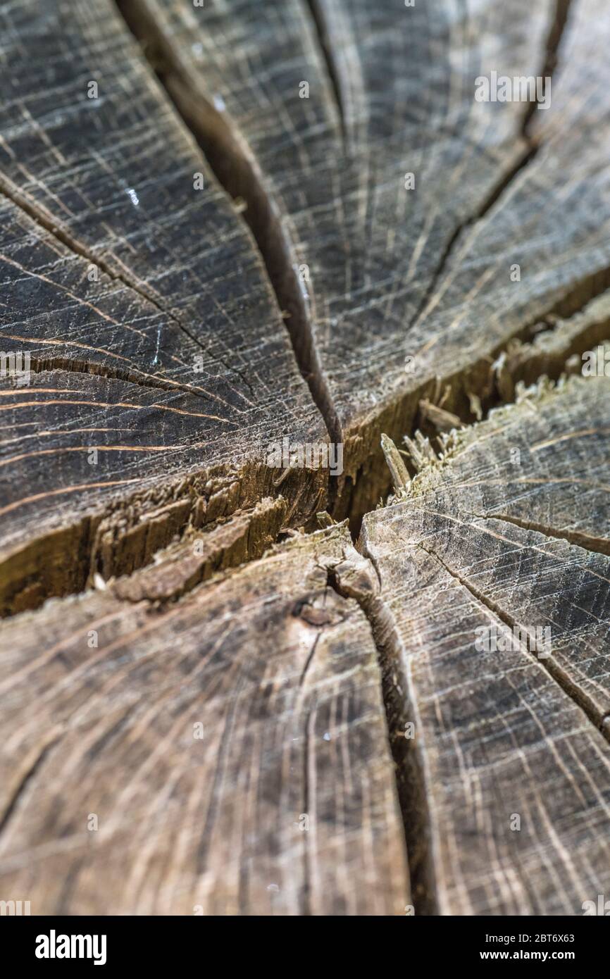 Political unity cracks metaphor hi-res stock photography and images - Alamy