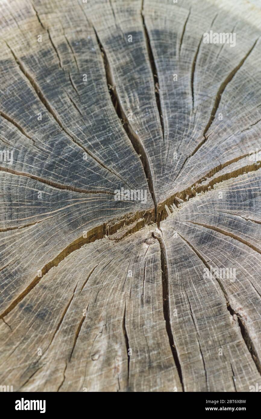 Cross fissures hi-res stock photography and images - Alamy