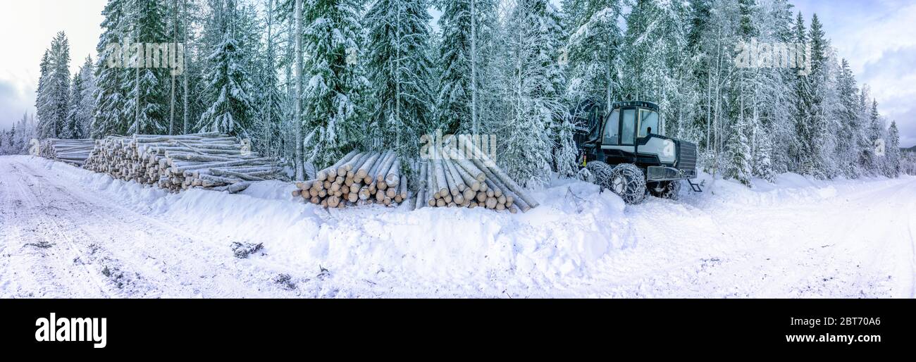 Cutting raw timber lumber hi-res stock photography and images - Alamy
