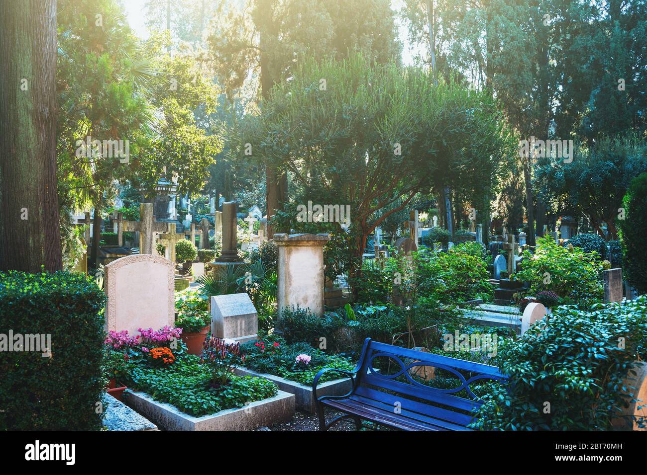 Tombstones in cemetery among green plants in sunny day. Old graves in ...