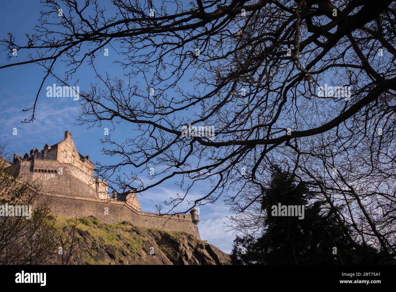 Edinburgh Castle with bare tree branches, blue sky and light hitting ...