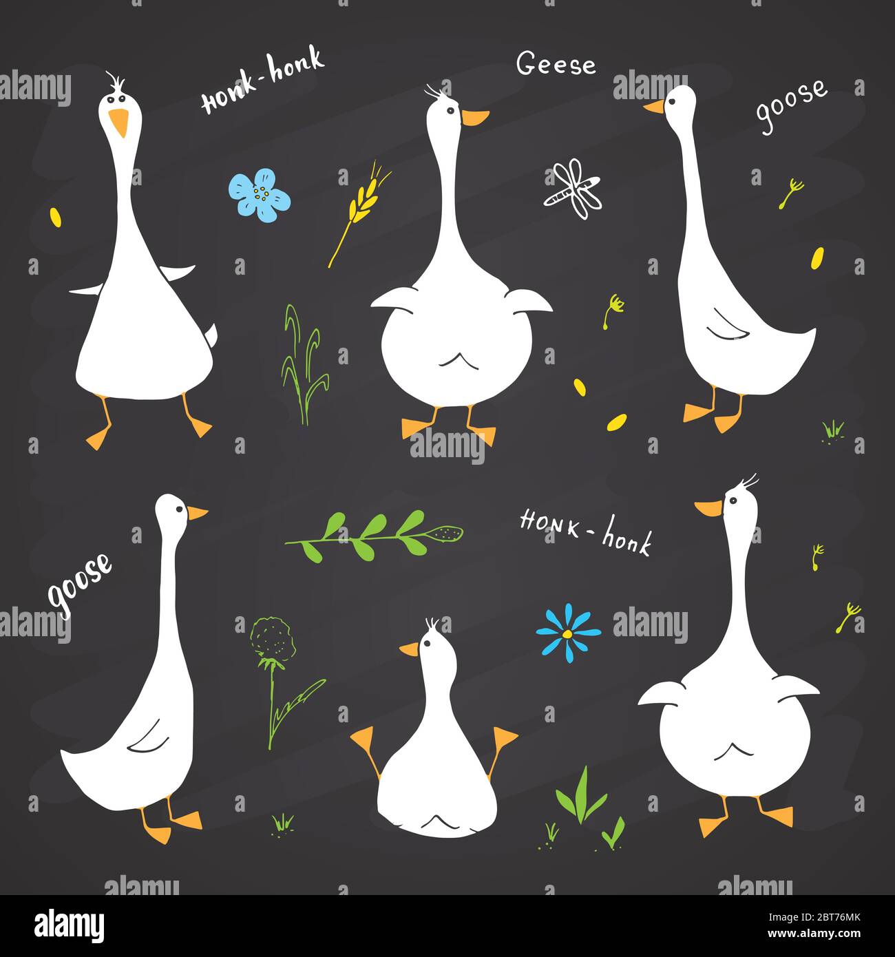 Goose Doodles Set. Cute Geese sketch. Hand drawn Cartoon Vector ...