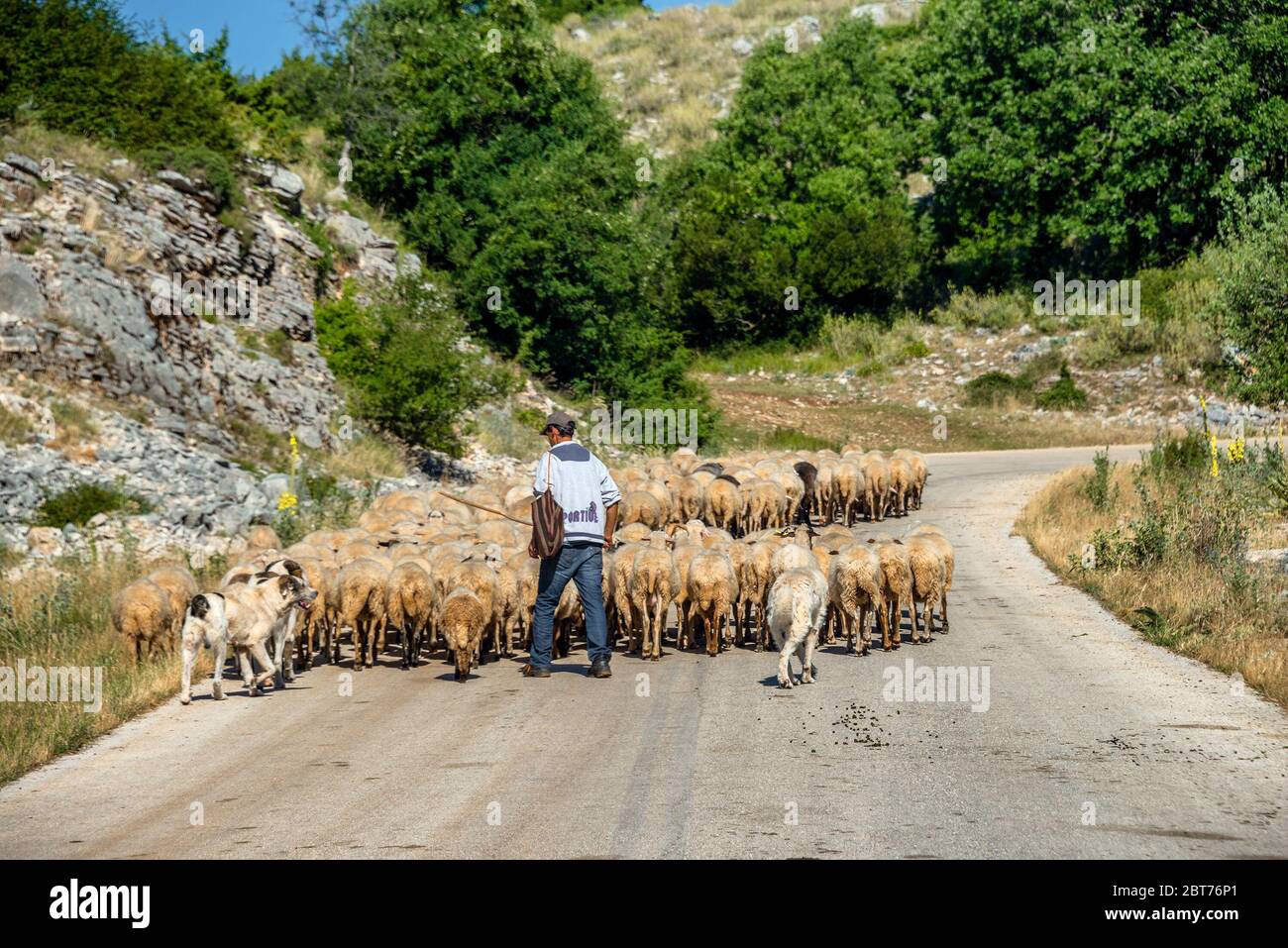 Keeper of sheep hi-res stock photography and images - Alamy