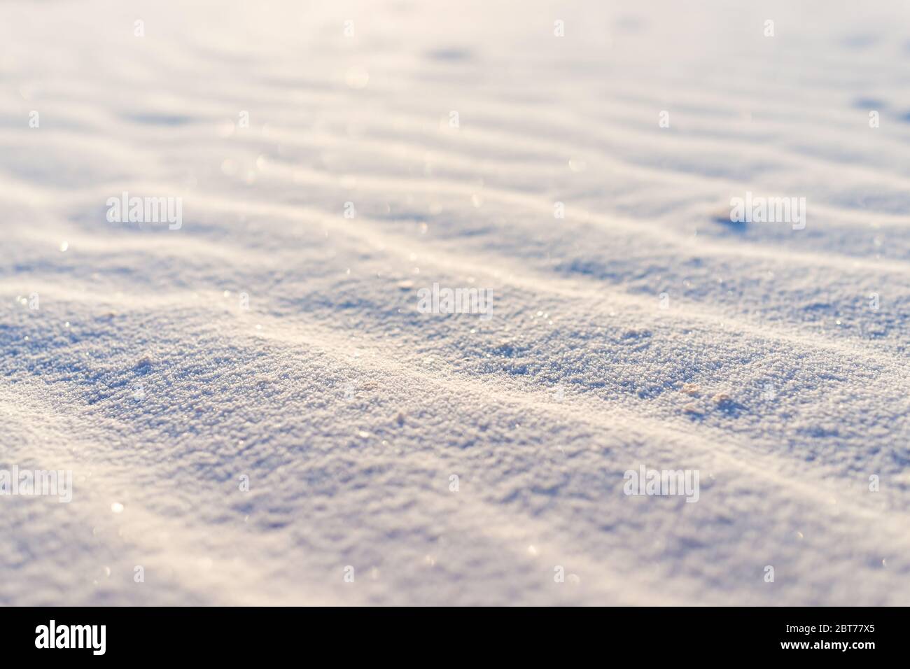 White sands dunes national monument low angle ground level view closeup ...