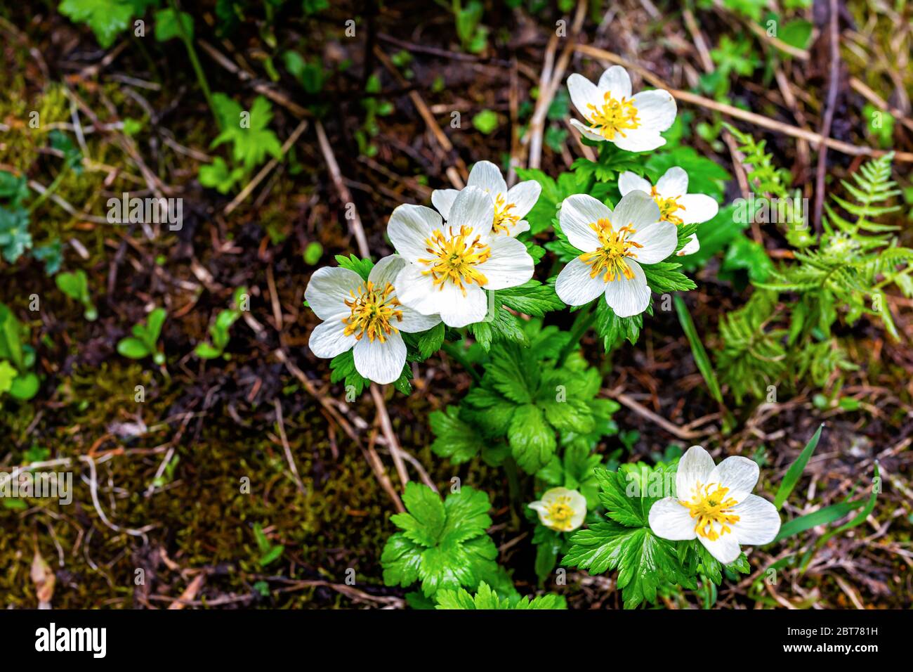 Conundrum hi-res stock photography and images - Alamy