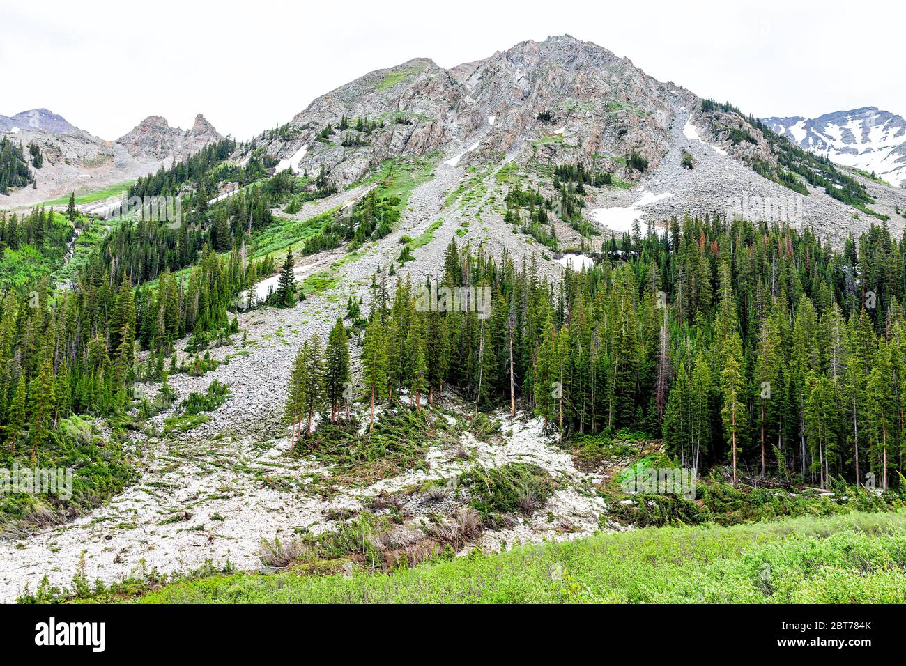 Landscape view on Conundrum Creek Trail in Aspen, Colorado in 2019 ...