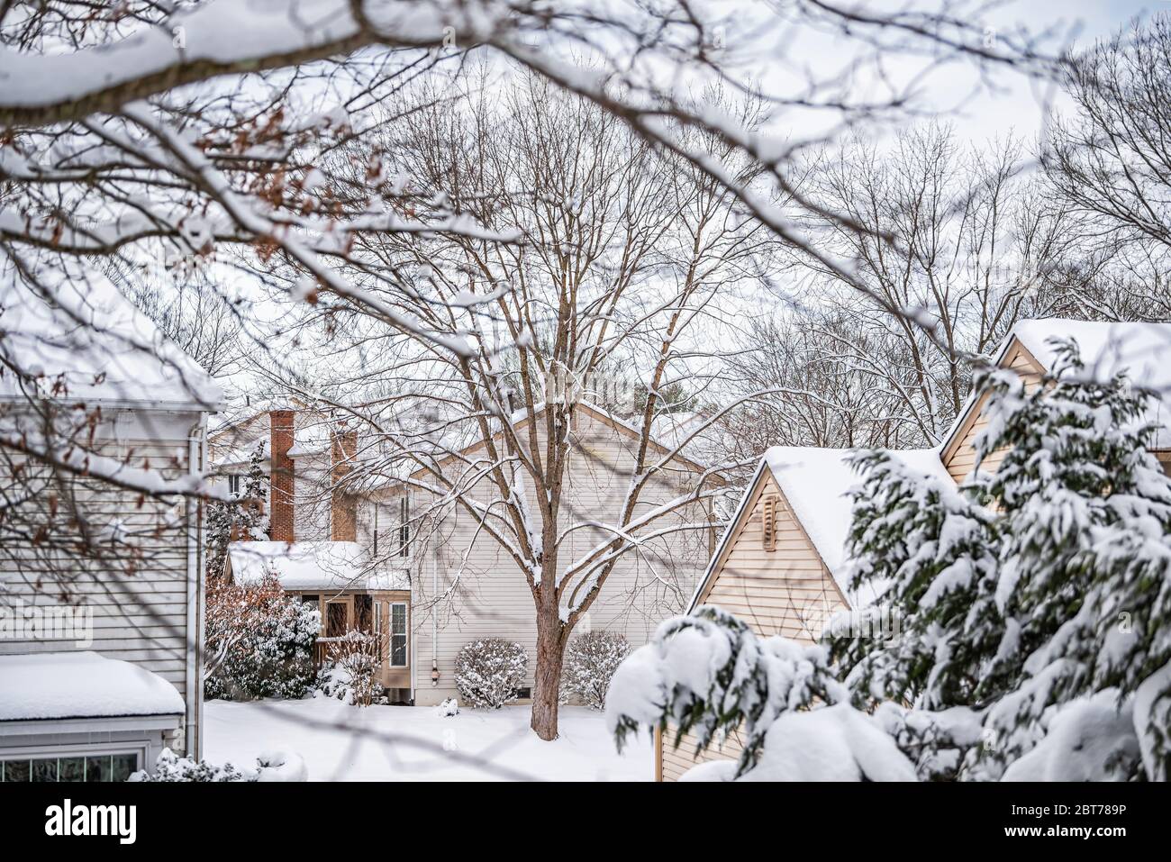Backyard in neighborhood with snow covered trees after blizzard white ...