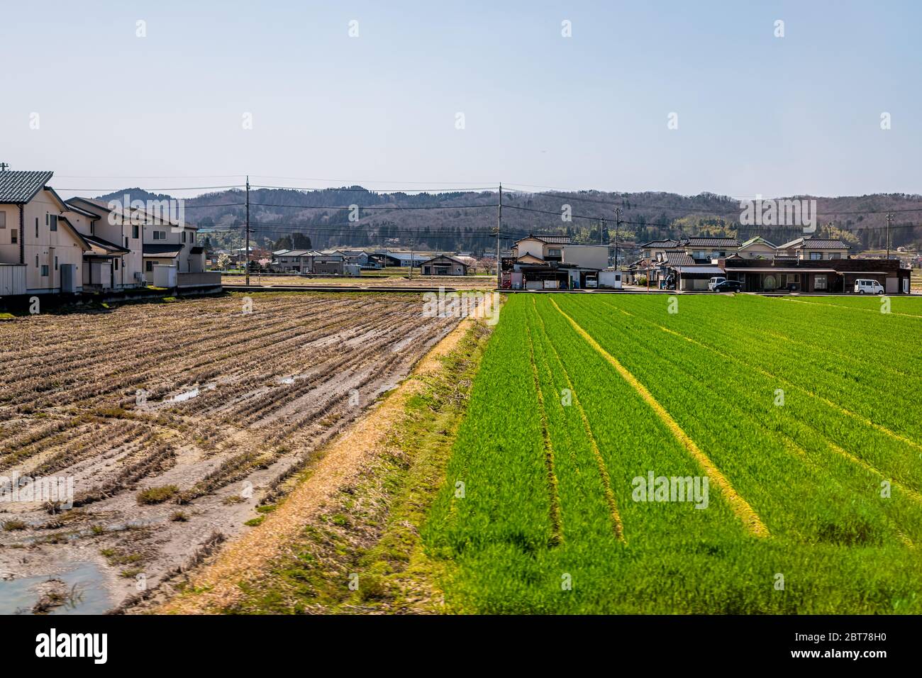 Rice field traditional japanese houses hi-res stock photography and ...