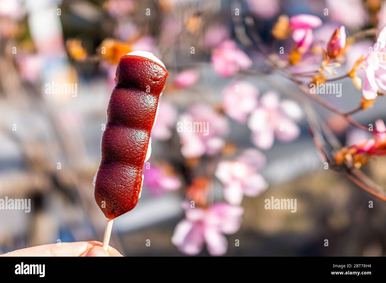 Sakura mochi hi-res stock photography and images - Alamy