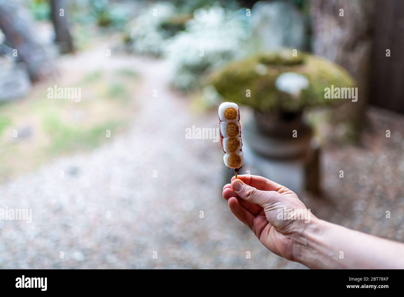 Traditional japanese rock garden and hand of man holding grilled anko ...