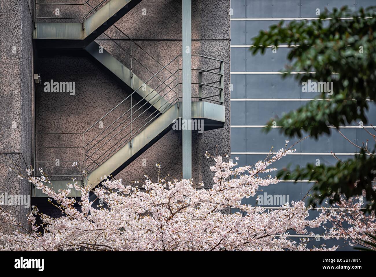 Minimalist stairs hi-res stock photography and images - Alamy