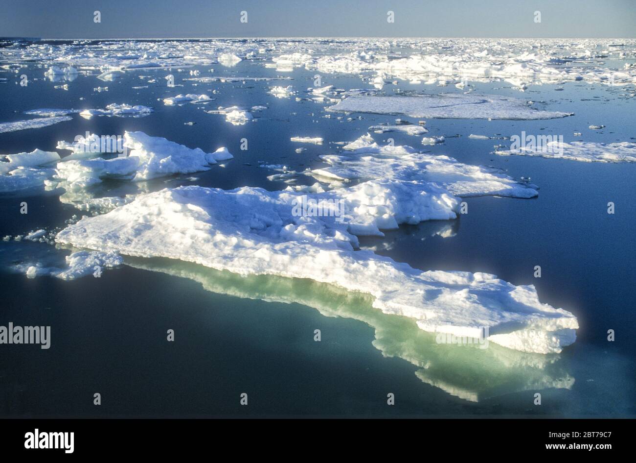Europe; Norway; Svalbard (Spitzbergen); 80 Degrees North; Sea Ice ...