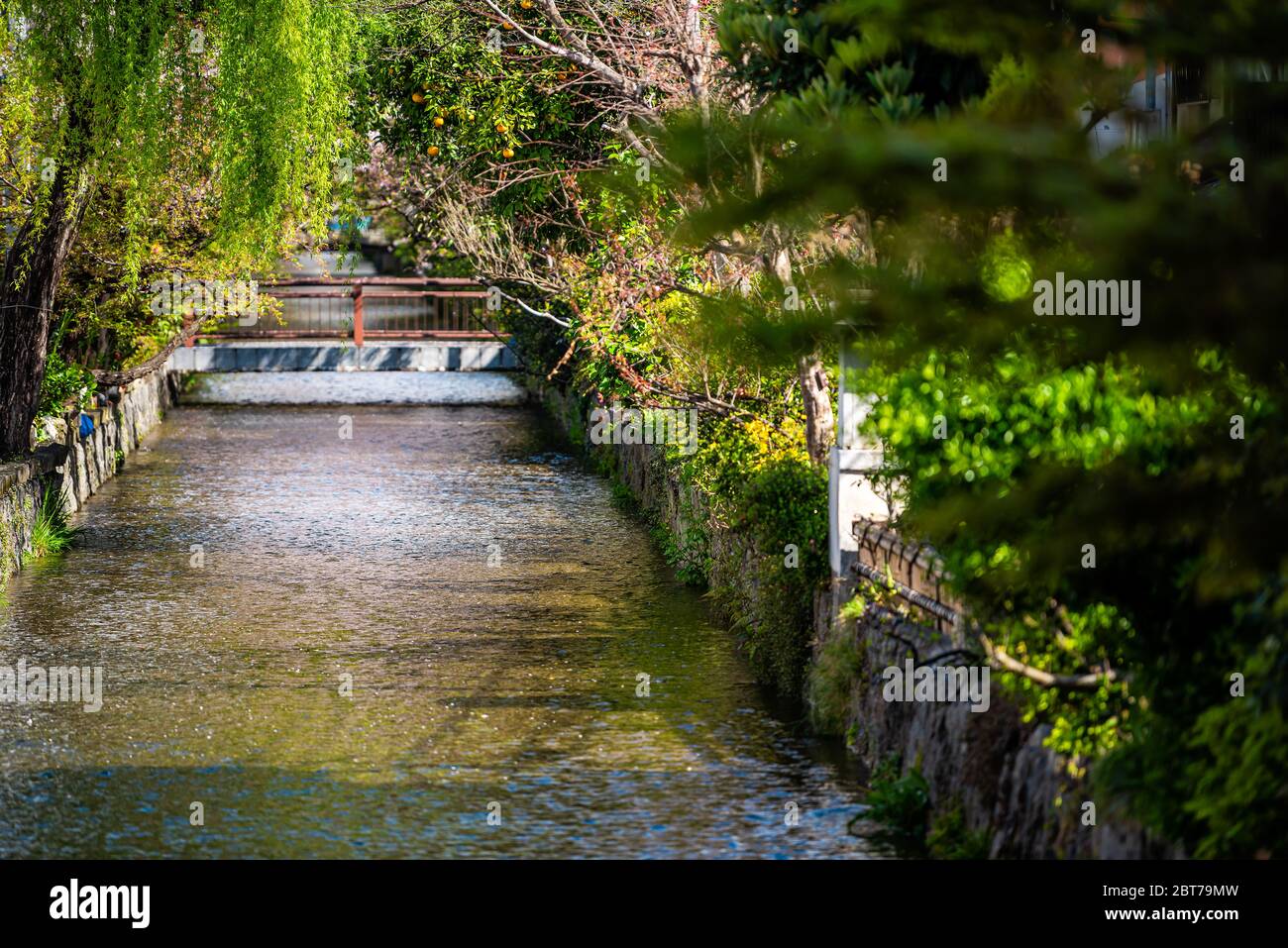 Kyoto kiyamachi-dori neighborhood street in spring with Takase river ...