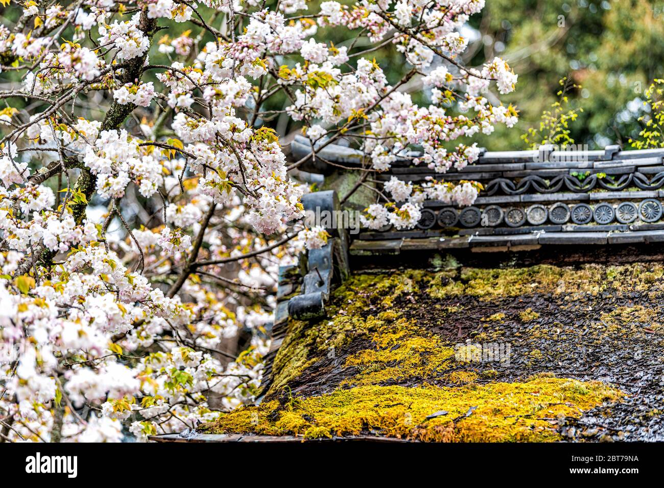 Kyoto, Japan Hirano jinja shinto shrine garden park with roof building ...