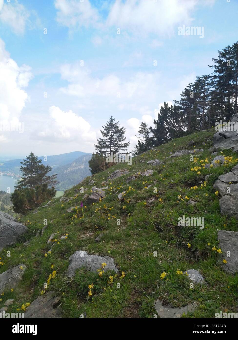 Brecherspitz - a mountain in bavaria Stock Photo - Alamy
