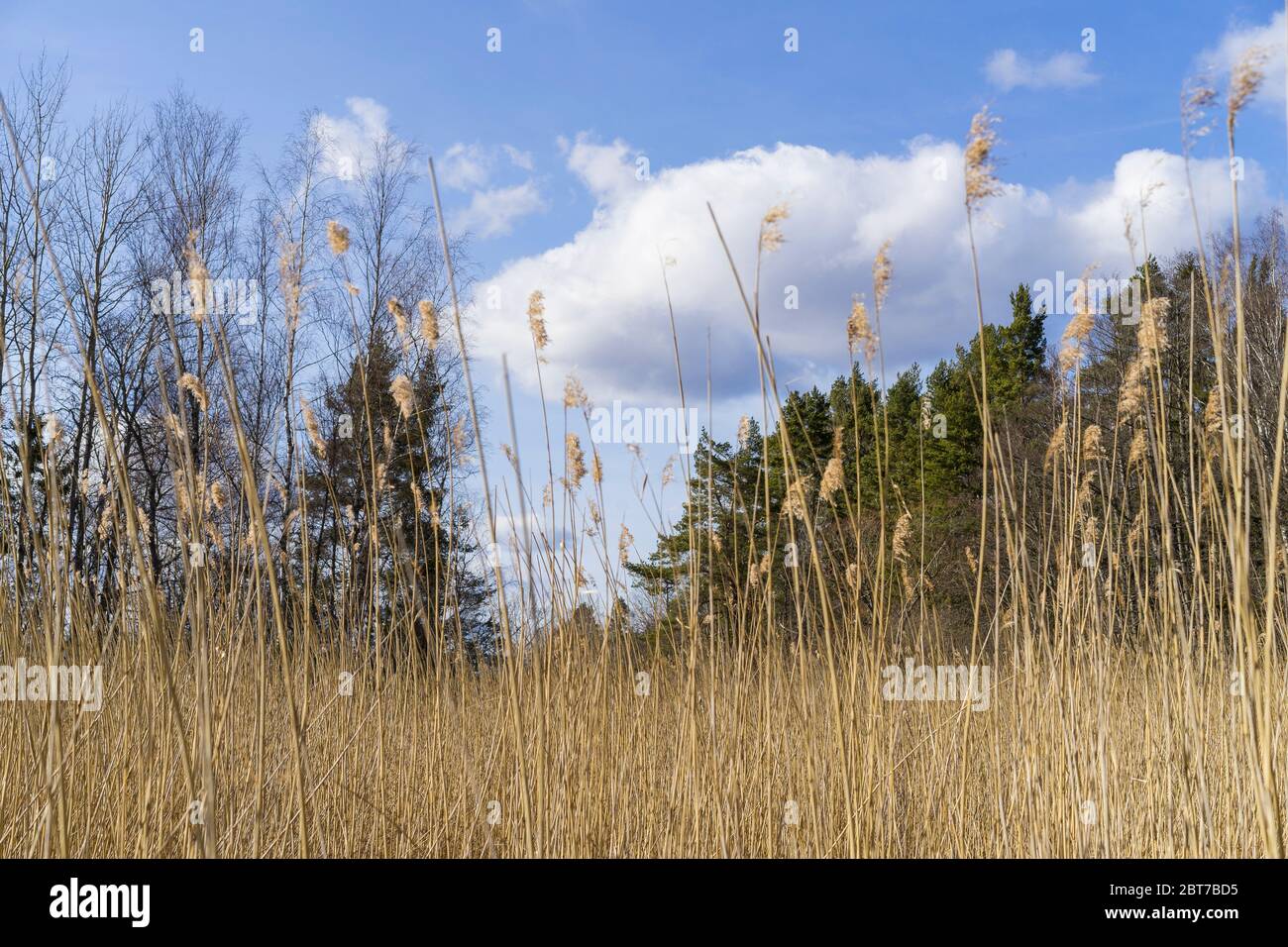 Beautiful nature and landscape photo of Sweden. Nice, calm, peaceful ...