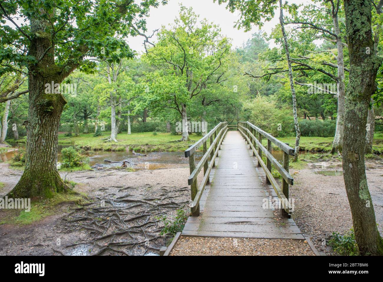 A small footbridge called Puttles bridge crosses Ober water in the New ...