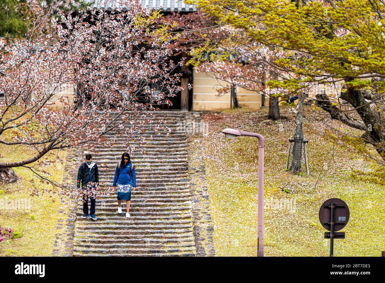 Nara, Japan - April 14, 2019: Todaiji temple in city with sakura cherry ...