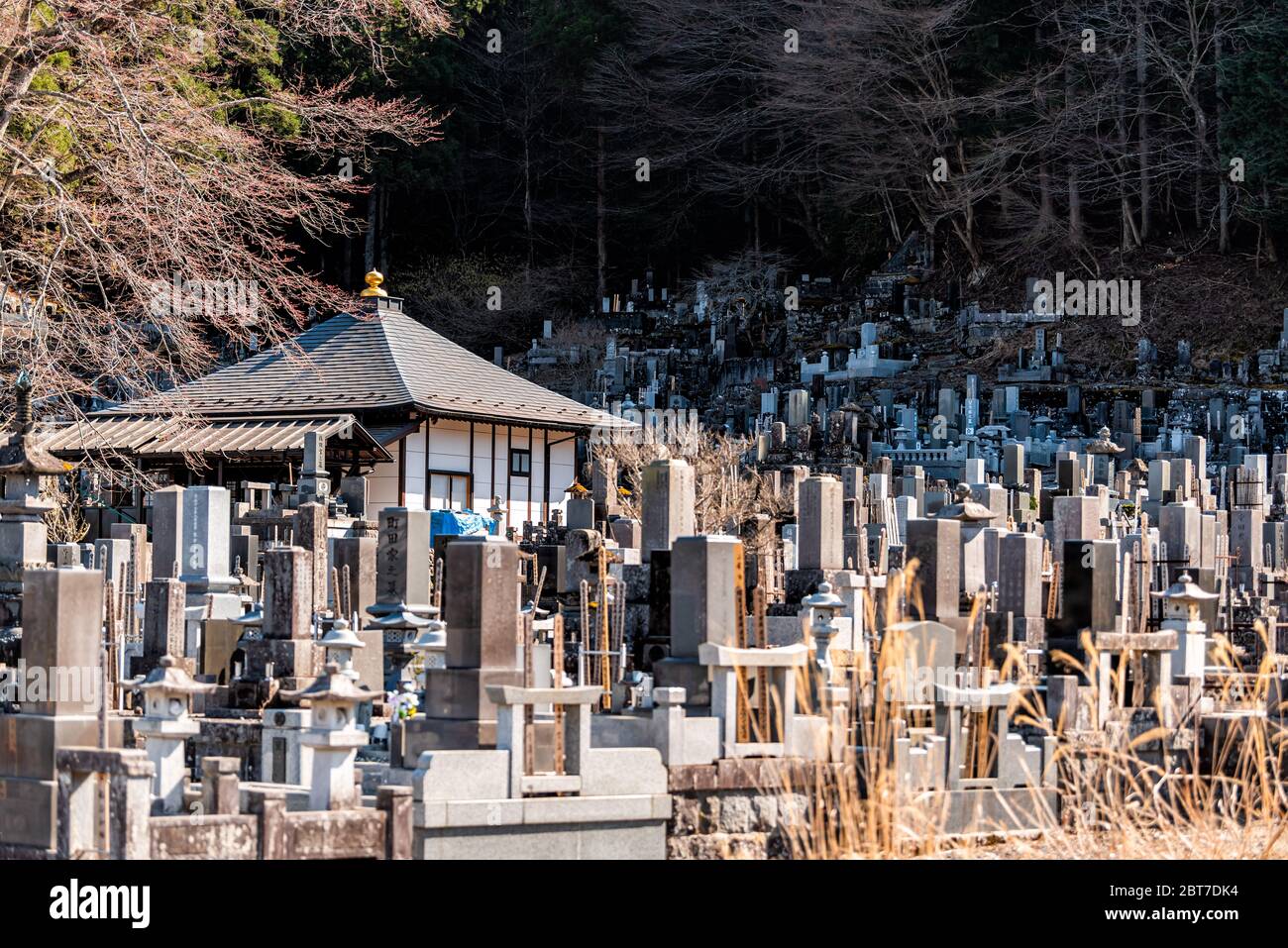 Buddhist graves hi-res stock photography and images - Alamy