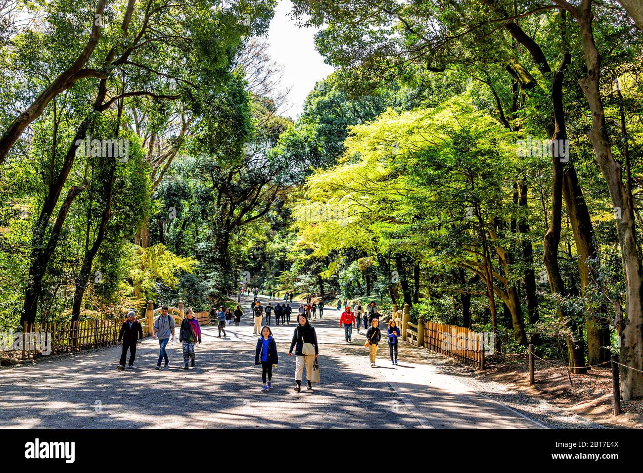 Tokyo, Japan - April 3, 2019: Meiji shrine park with green trees forest ...