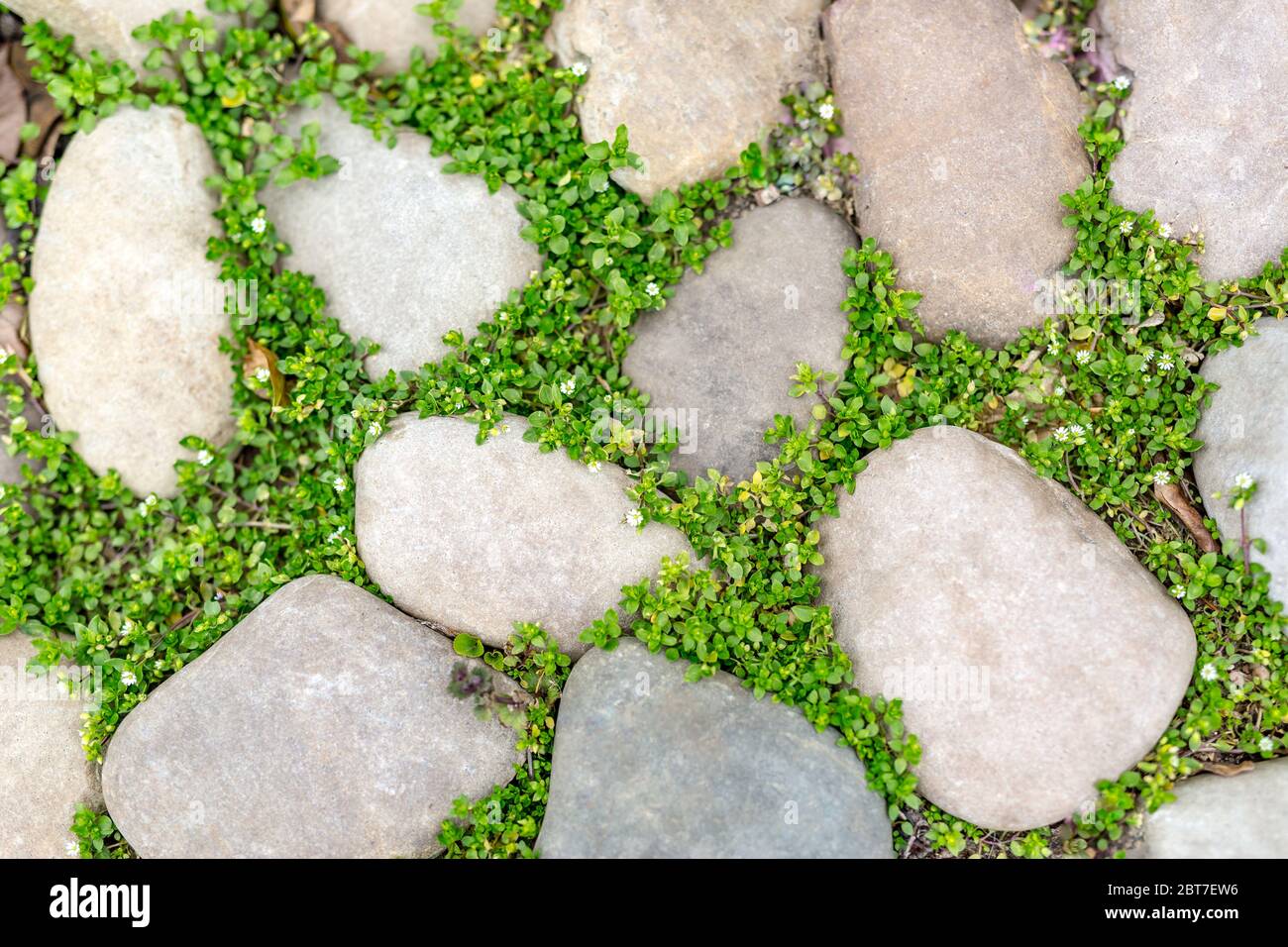 Pave step natural stone hi-res stock photography and images - Alamy
