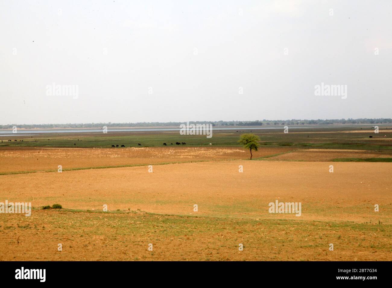 Beautiful Landscape, Village Surrounded by Greenery Mountain, Indian ...