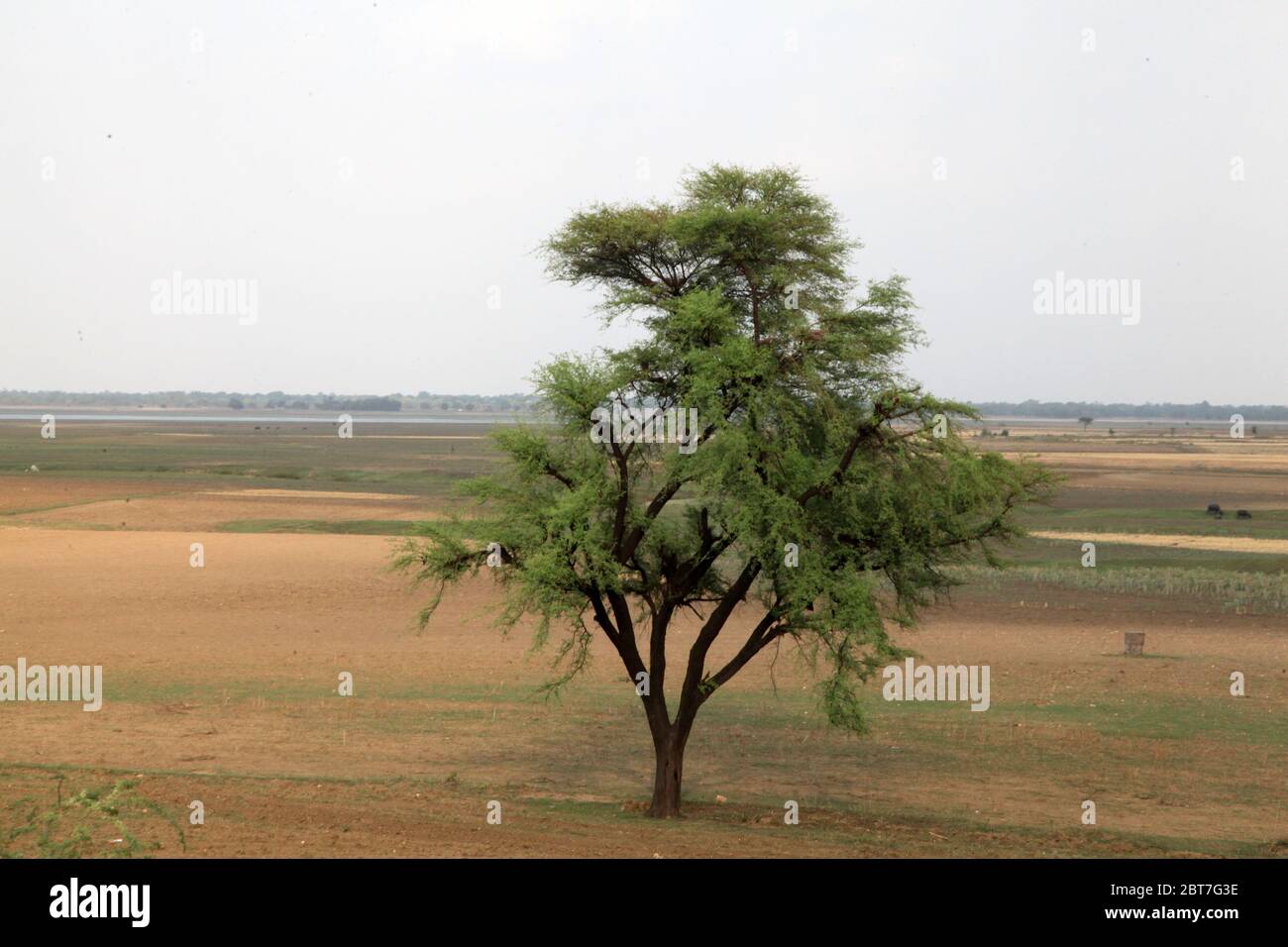Beautiful Landscape, Village Surrounded by Greenery Mountain, Indian ...