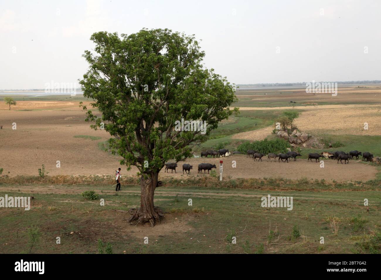 Beautiful Landscape, Village Surrounded by Greenery Mountain, Indian ...