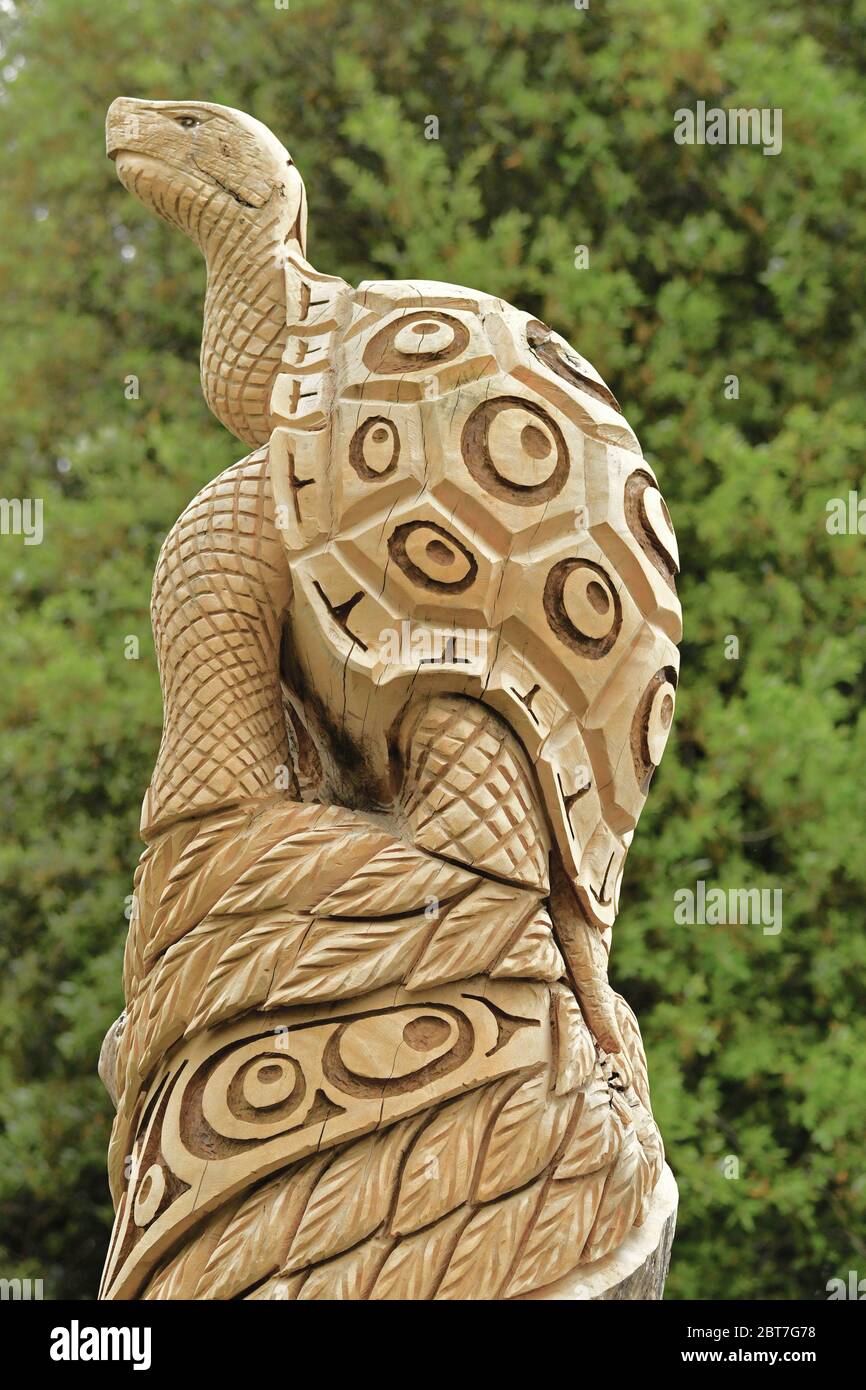 Turtle Bread Carvings