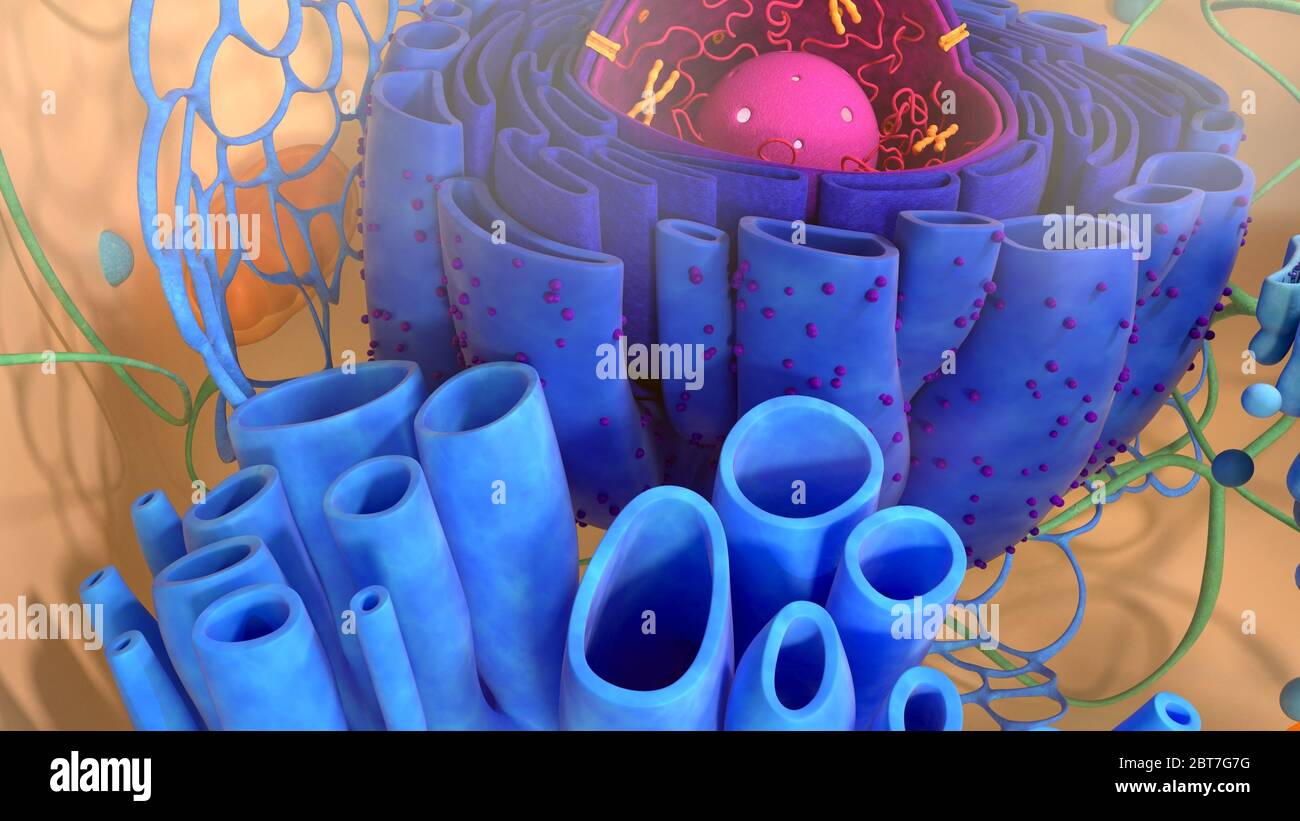 3d render. 3d illustration cell modell Stock Photo - Alamy