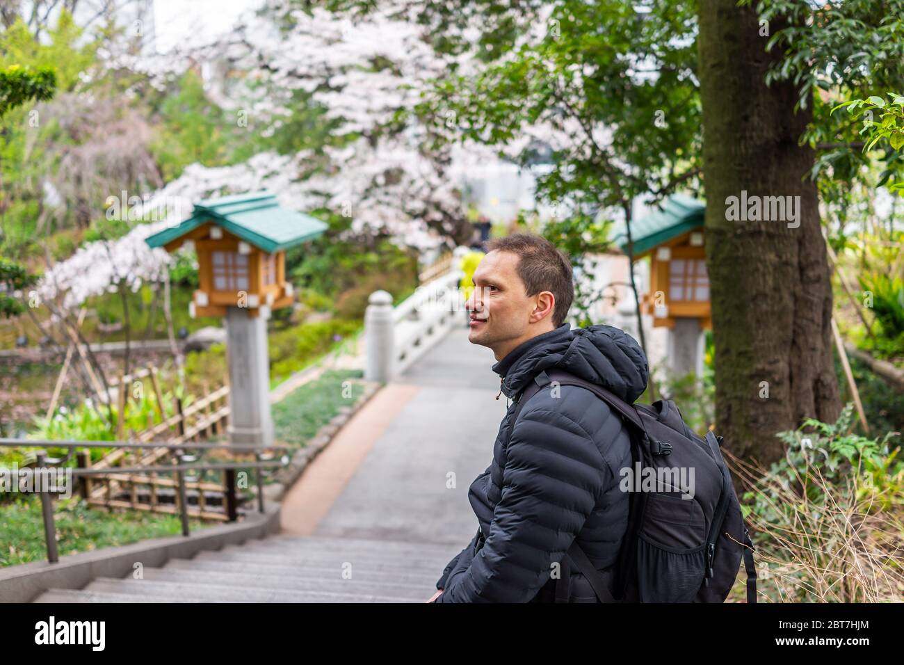 Tokyo, Japan Togo shrine temple garden with one foreigner tourist man ...