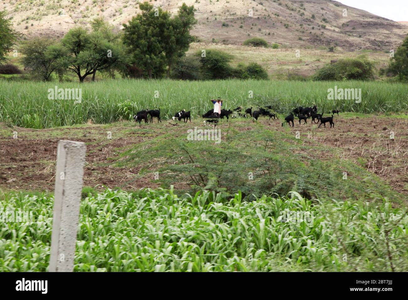Beautiful Landscape, Village Surrounded by Greenery Mountain, Indian ...
