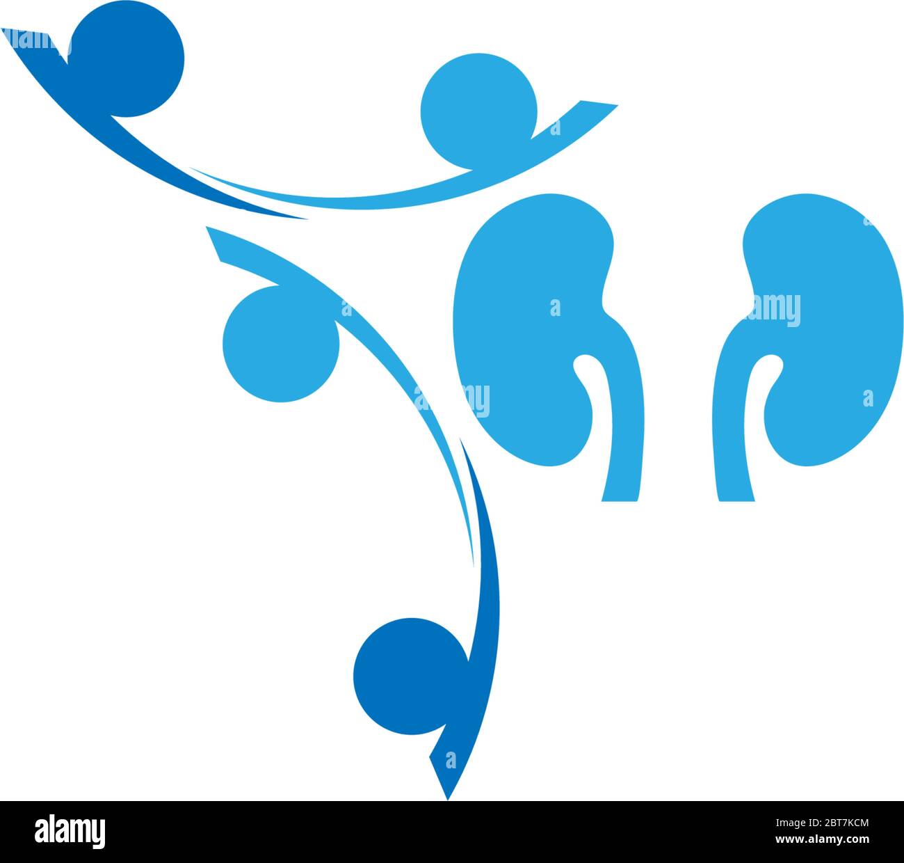 Urology logo, kidney logo icon healty illustration Stock Vector Image ...