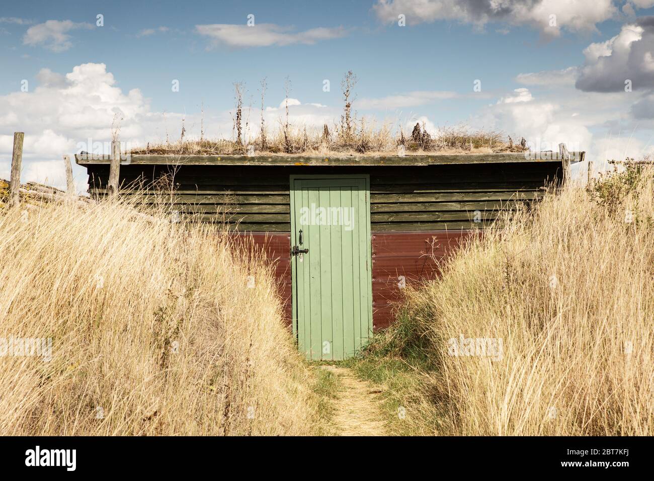 wooden bird hide set in tall grass with a path going up to the door ...