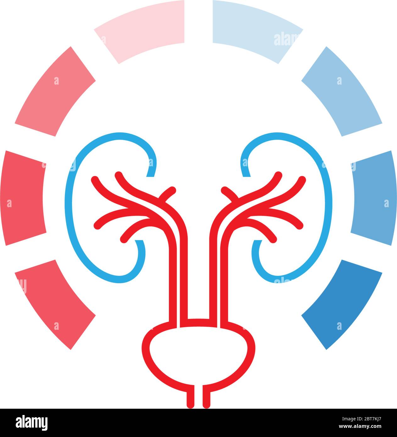 Urology logo, kidney logo icon healty illustration Stock Vector Image ...