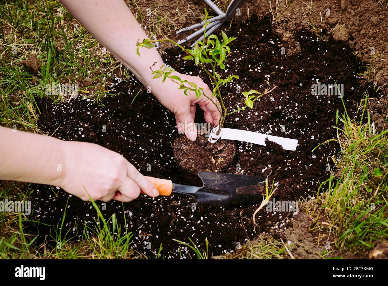 Berry plot hi-res stock photography and images - Alamy
