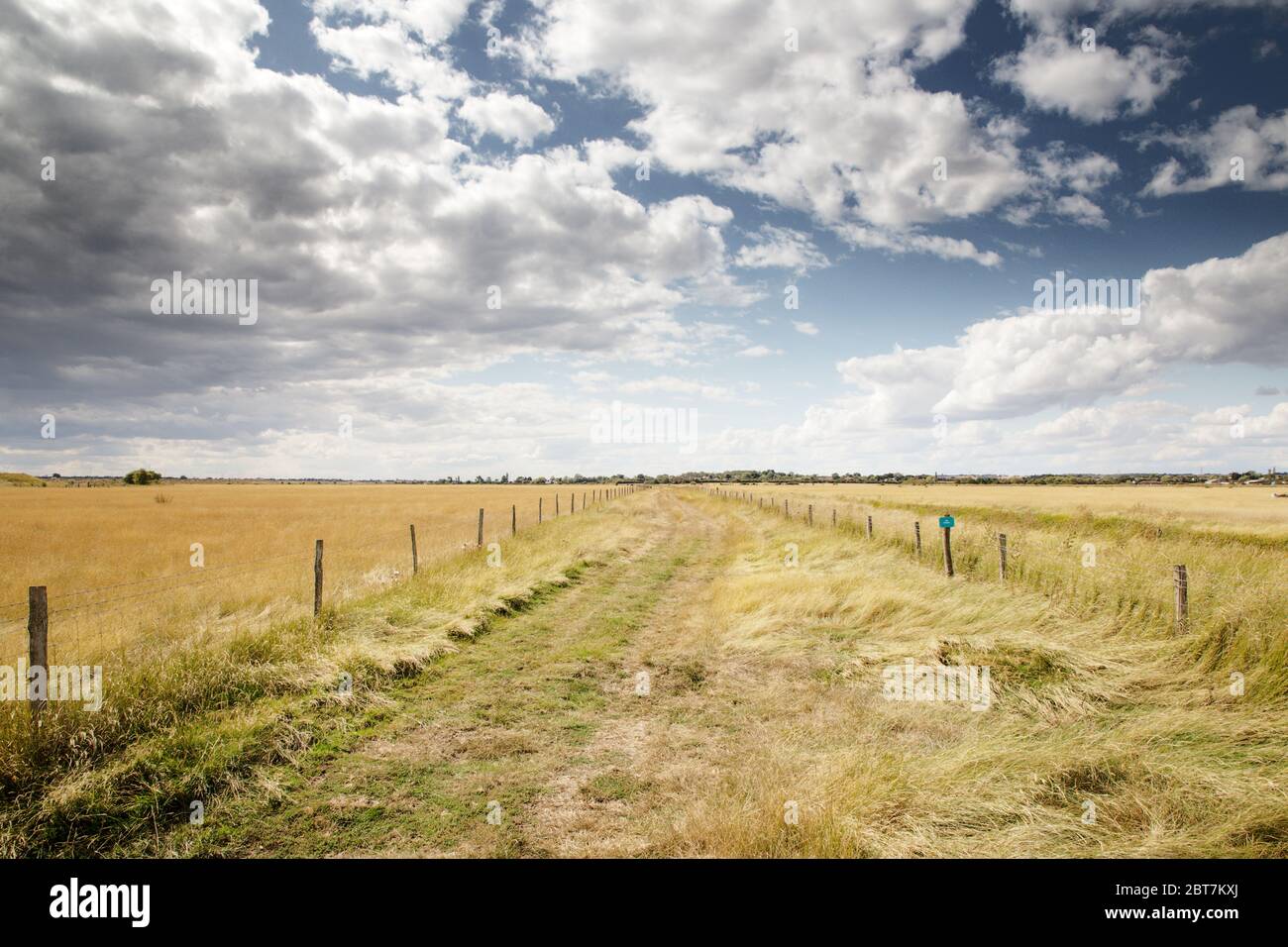 Grassy pathway with a fence hi-res stock photography and images - Alamy